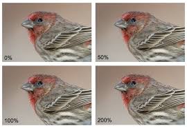 英和画像辞典：(sharpness)の関連画像一覧！