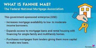 Federal National Mortgage Association 8.25% Pref Shs Series S (FNMAS ...