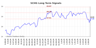 Schwab US Large-Cap Growth ETF (SCHG) Price & News - Google Finance