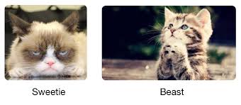 英和画像辞典：(in the example the word is used repeatedly in different ...