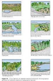英和画像辞典：(names of wetlands and watercourses)の関連画像一覧！