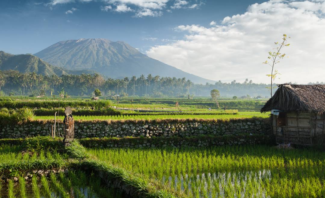 Find Cheap Flights to Bali - Google Flights