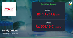 Pondy Oxides and Chemicals Ltd (POCL) Stock Price & News - Google Finance