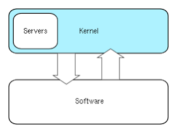英和画像辞典：(cernel)の関連画像一覧！ – おもしろい英文法