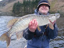 英和画像辞典：(cork fish)の関連画像一覧！ – おもしろい英文法