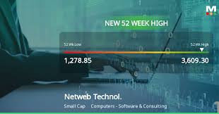Netweb Technologies India Ltd (543945) Stock Price & News - Google Finance