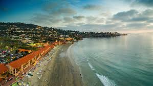 英和画像辞典：(polillio)の関連画像一覧！