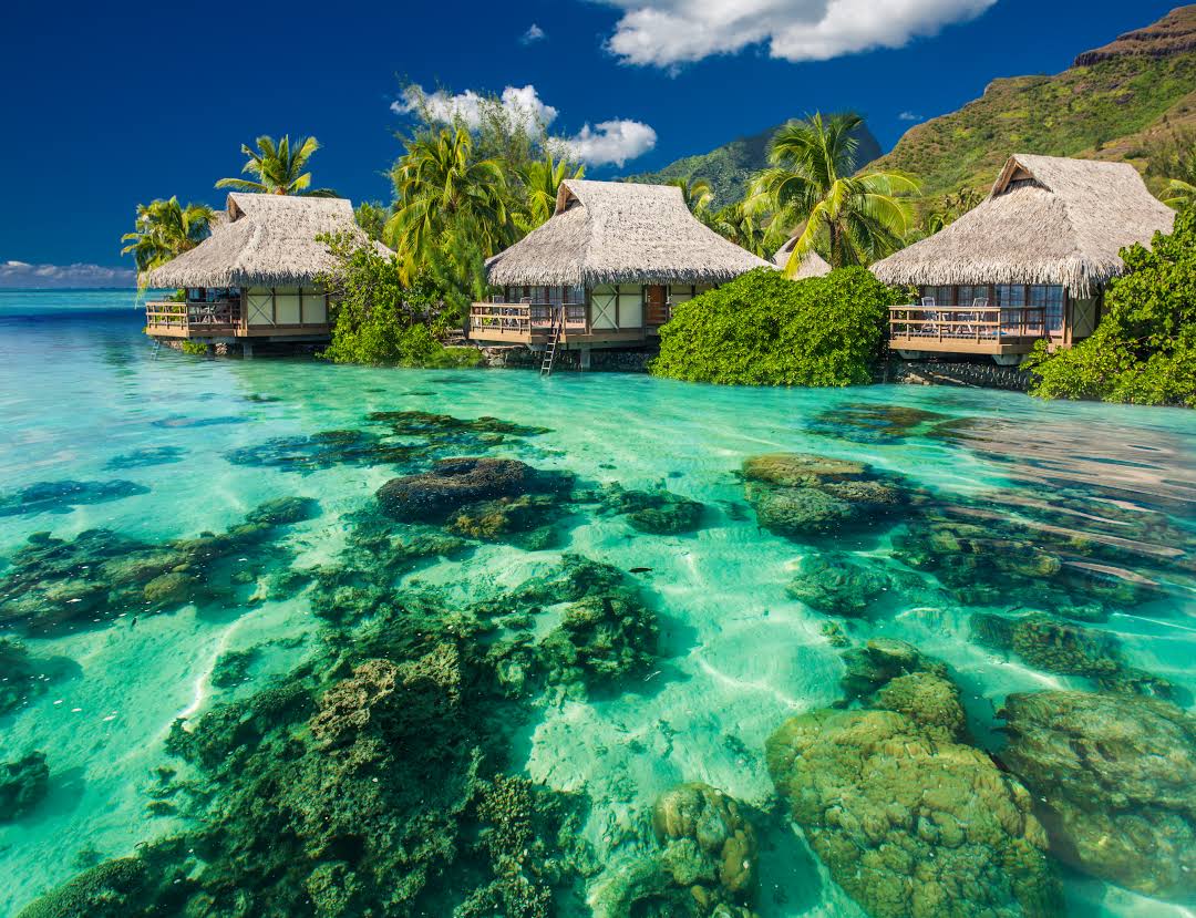 Find Cheap Flights to Tahiti - Google Flights