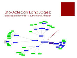 英和画像辞典：(uto-aztecan)の関連画像一覧！