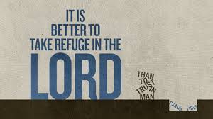 英和画像辞典：(take refuge)の関連画像一覧！