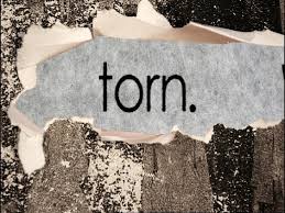 英和画像辞典：(torn)の関連画像一覧！