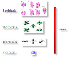英和画像辞典：(orbitals)の関連画像一覧！ – おもしろい英文法