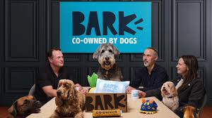 Bark Inc (BARK) Stock Price & News - Google Finance