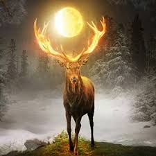 Immerse Your Senses In The Breathtaking Views Of The Stunning ‘Super ...