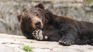 Greenvale Energy Ltd (GRV) Stock Price & News - Google Finance