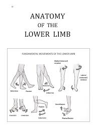 英和画像辞典：(limb)の関連画像一覧！ – おもしろい英文法