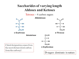 英和画像辞典：(tetrose)の関連画像一覧！ – おもしろい英文法