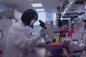 Putnam Large Cap Value Fund Class A (PEYAX) Mutual Fund Price & News ...