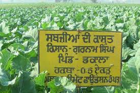 英和画像辞典：(dakala)の関連画像一覧！