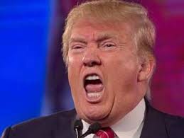 英和画像辞典：(leave aside)の関連画像一覧！ – おもしろい英文法