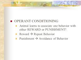 英和画像辞典：(repeat behavior)の関連画像一覧！