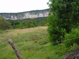 英和画像辞典：(erigabo)の関連画像一覧！ – おもしろい英文法