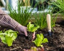 20+ Unique, Innovative, and Explorative Ways to Entertain Your Kids ...