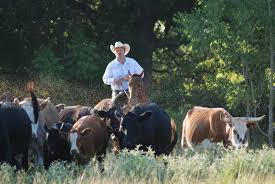 英和画像辞典：(cattle-raiser)の関連画像一覧！ – おもしろい英文法