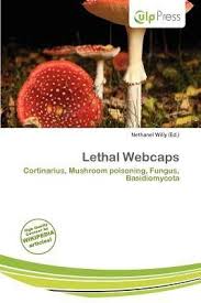 英和画像辞典：(webcaps)の関連画像一覧！ – おもしろい英文法