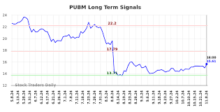 PubMatic Inc (PUBM) Stock Price & News - Google Finance