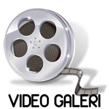 powerquadrantsystem | powerquadrantsystem.com