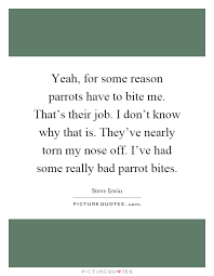 英和画像辞典：(have a bite)の関連画像一覧！ – おもしろい英文法