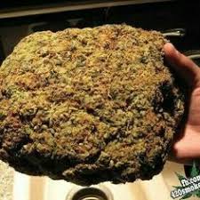 英和画像辞典：(bud)の関連画像一覧！