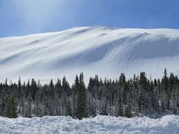 英和画像辞典：((proper noun) jasper)の関連画像一覧！ – おもしろい英文法