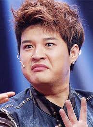 Shisus Nosso Rei: Super Junior Derp