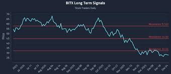2x Bitcoin Strategy ETF (BITX) Price & News - Google Finance