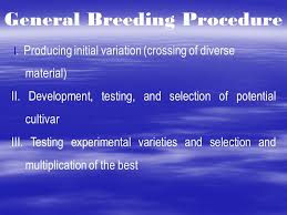 英和画像辞典：(multiplication;breeding)の関連画像一覧！ – おもしろい英文法