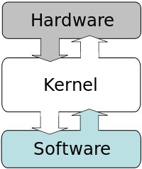 英和画像辞典：(cernel)の関連画像一覧！ – おもしろい英文法