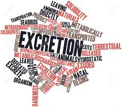 英和画像辞典：(excreation)の関連画像一覧！