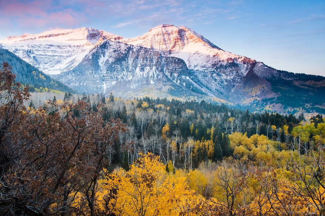 Find Cheap Flights from Phoenix to Provo (PHX - PVU) - Google Flights