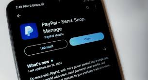 PayPal Holdings Inc (PYPL) Stock Price & News - Google Finance