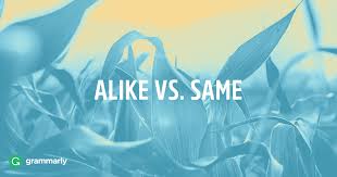 英和画像辞典：(alike)の関連画像一覧！ – おもしろい英文法