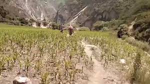 英和画像辞典：(proke)の関連画像一覧！ – おもしろい英文法