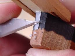 英和画像辞典：(quill plectrum)の関連画像一覧！ – おもしろい英文法