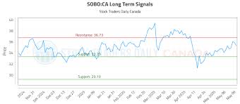 South Bow Corp (SOBO) Stock Price & News - Google Finance
