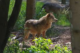 英和画像辞典：(barmee)の関連画像一覧！ – おもしろい英文法