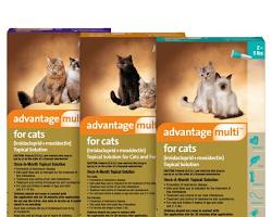 Elanco (bayer) advantage multi 0.8 kedi iç dış parazit damlası...