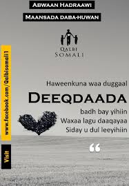 英和画像辞典：(hadrawi when he said)の関連画像一覧！ – おもしろい英文法