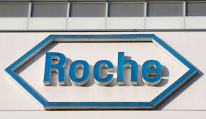 Roche Holding AG Genussscheine (ROG) Stock Price & News - Google Finance