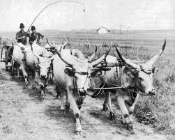 A Föld természeti kincsei, energia | Műszaki és technológiai ismeretek